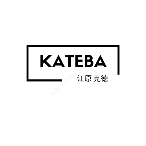 Educational and work history -KATEBA-